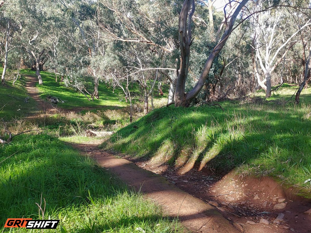 Intense Tazer MX Alloy Expert Review: No Ordinary E-Bike - GritShift Media